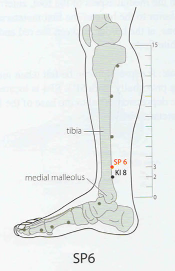 6 SP